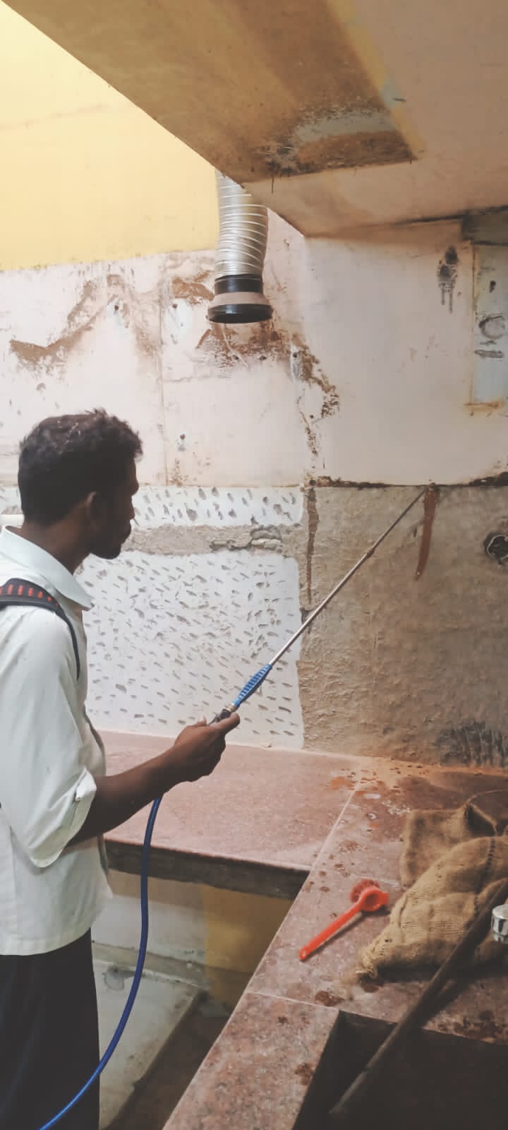 How to control Termites? Call Pest Control Professionals - Pest Control ...